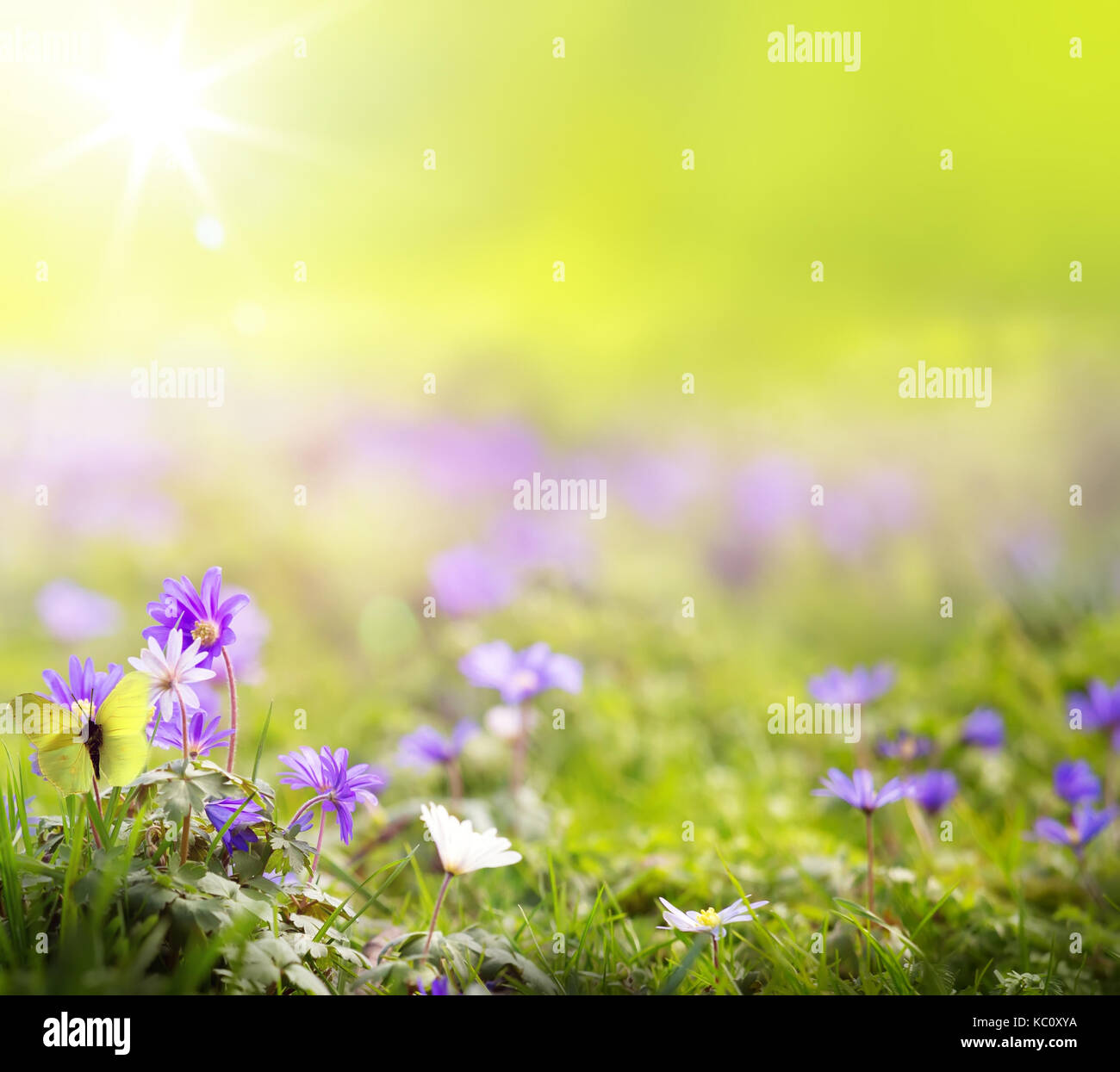 abstract spring green background Stock Photo - Alamy
