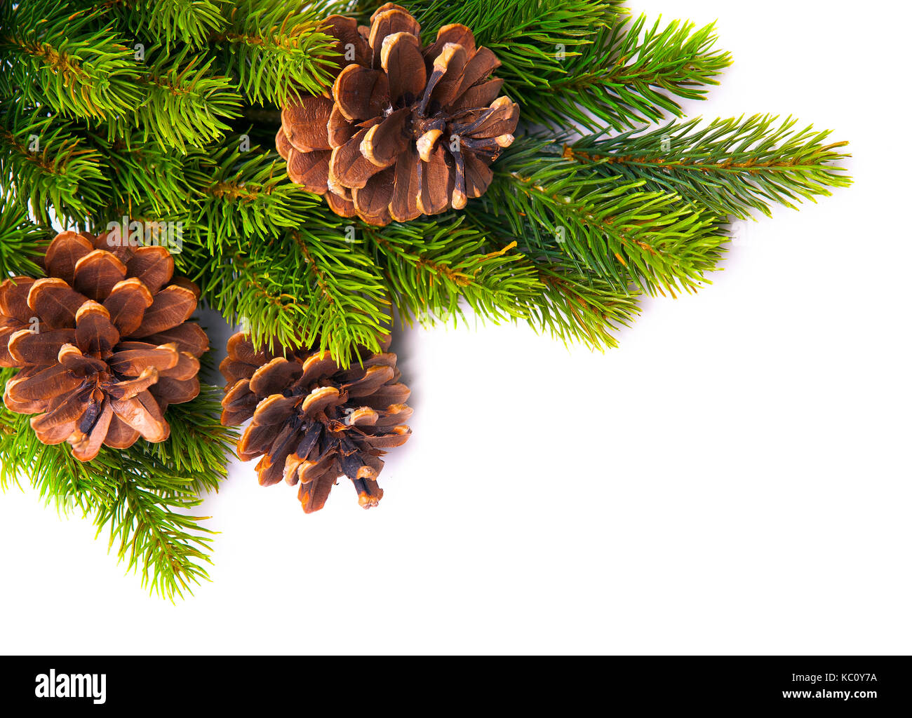 art christmas tree frame Stock Photo - Alamy
