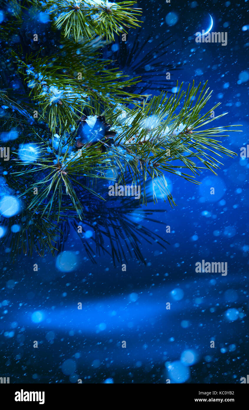 Christmas tree on night background Stock Photo - Alamy