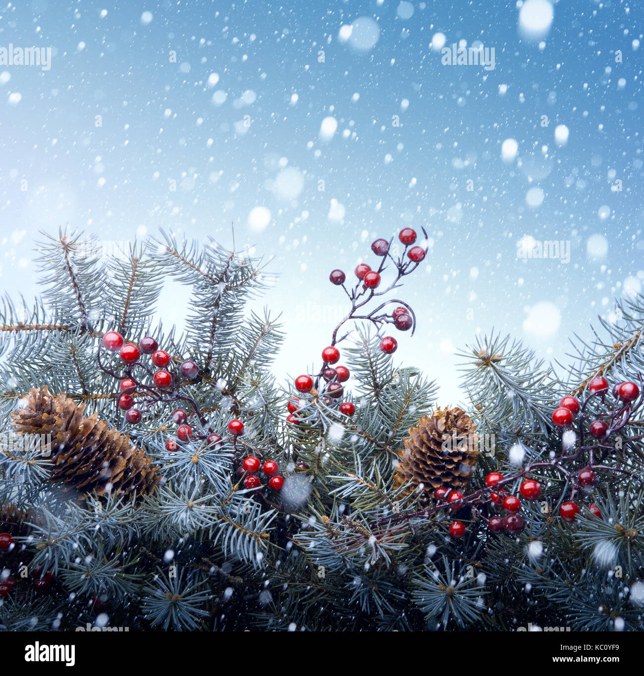 Christmas tree background Stock Photo - Alamy