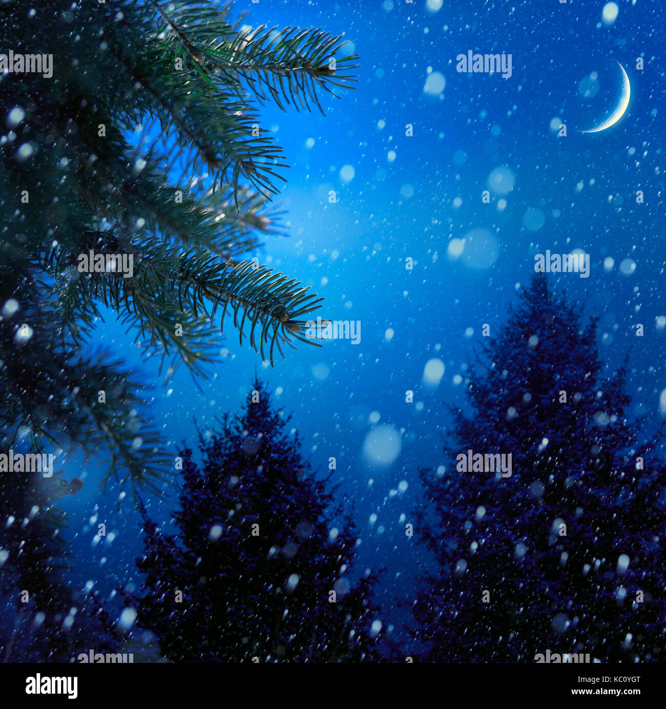 Art Christmas tree on winter night blue snow background Stock Photo - Alamy