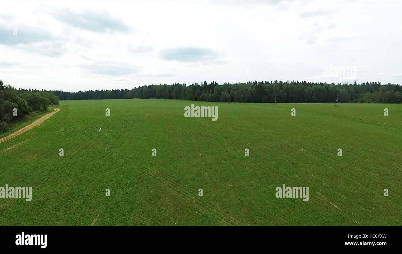 Aerial view of green field and lake.Flying over the field with green ...