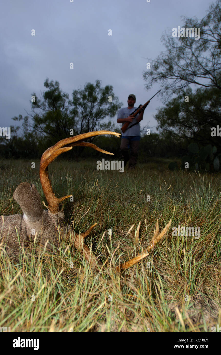 Deer hunter hi-res stock photography and images - Alamy