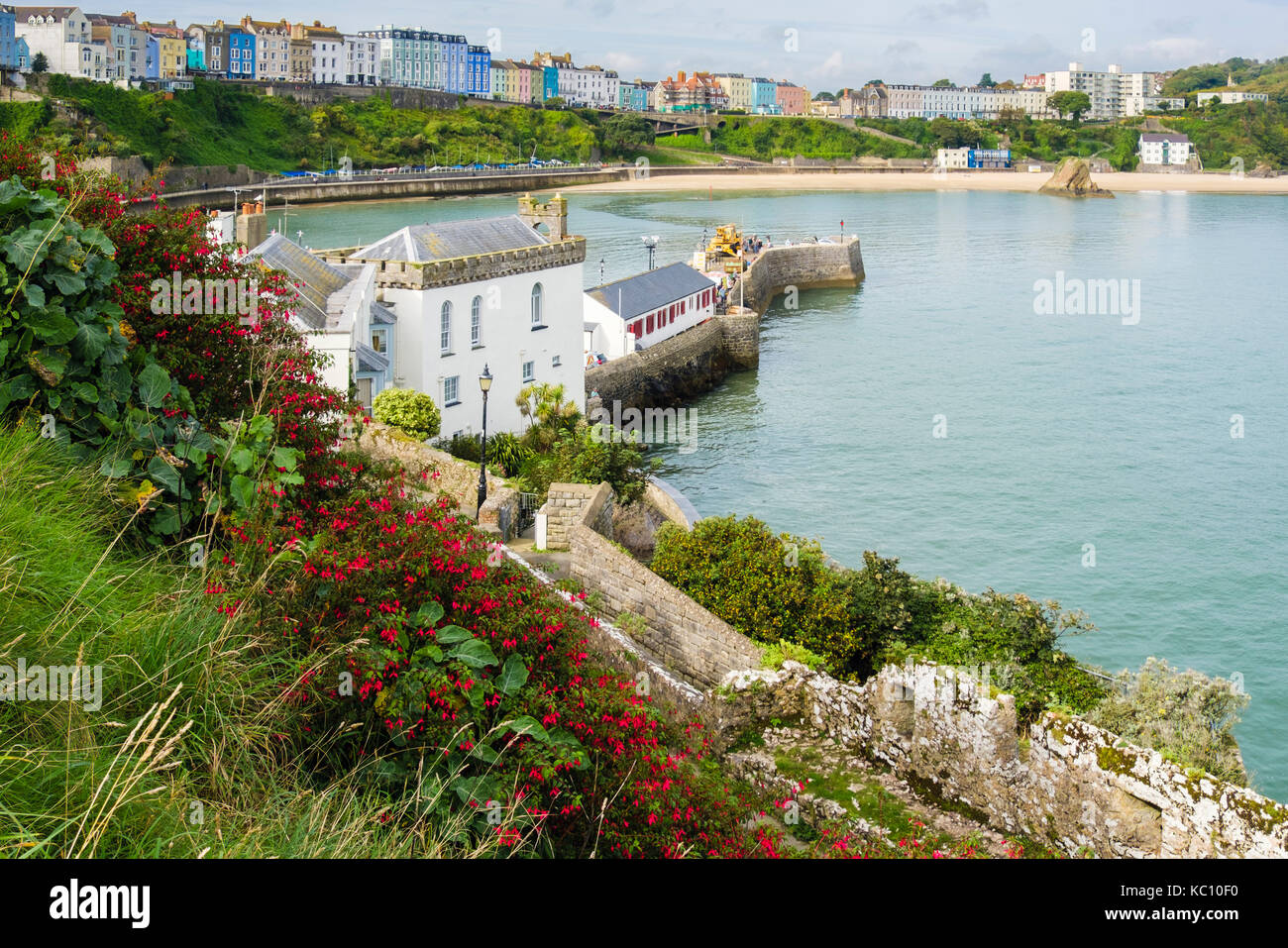 High view to North Beach and seafront from Castle Hill. Tenby ...
