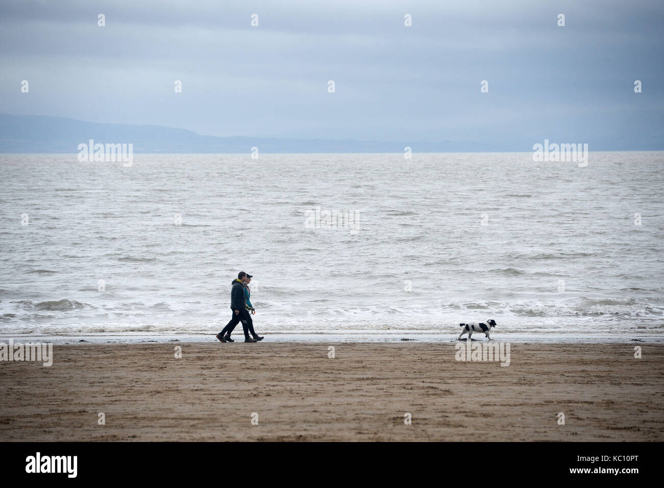 Dog walkers and their pets enjoy the full use of the beach at Barry ...
