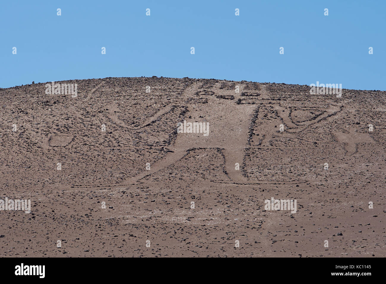 Giant of the Atacama. Large petroglyph on a rocky outcrop in the ...