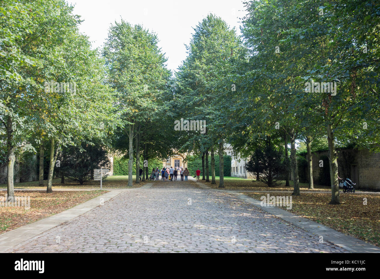 Long path to country house Stock Photo - Alamy