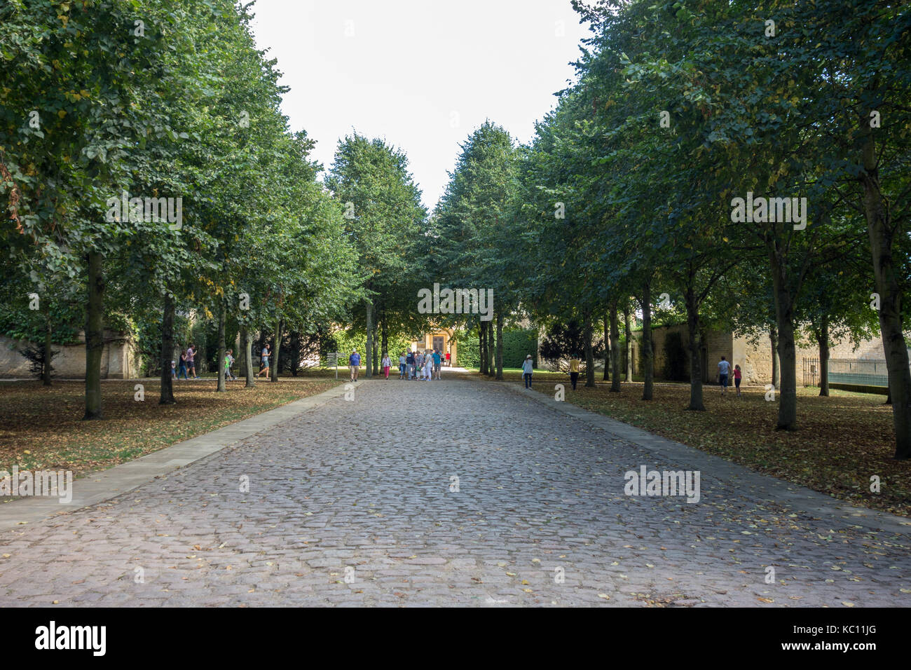 Long path to country house Stock Photo - Alamy