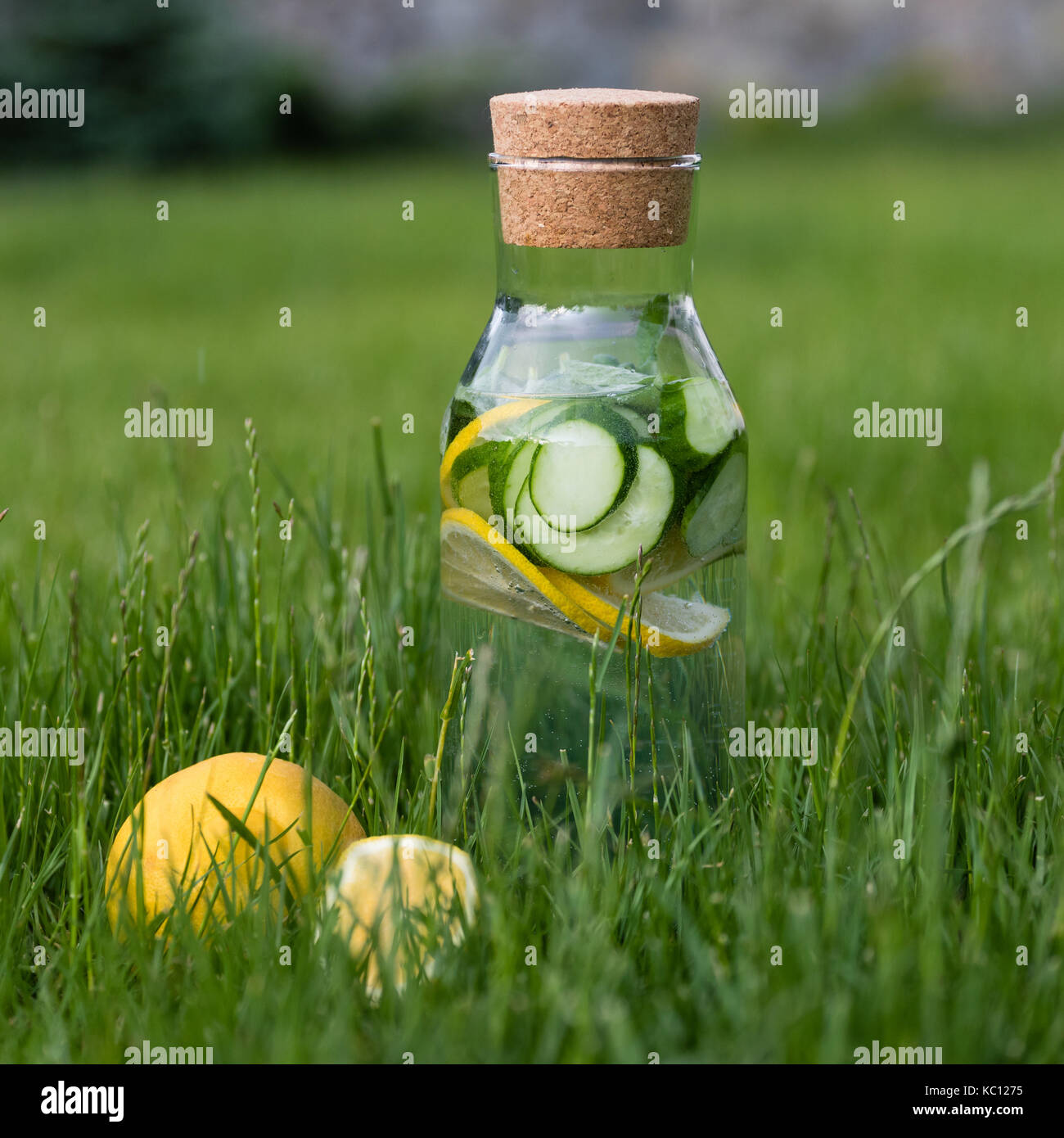 Summer fresh lemonade from lemons, mint and cucumber. Detox Water Stock ...