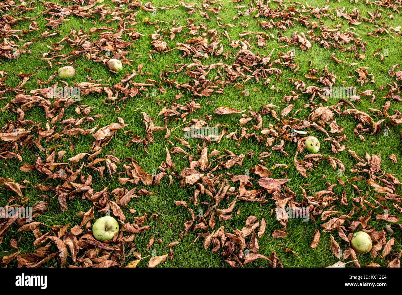 Thought process decline hi-res stock photography and images - Alamy