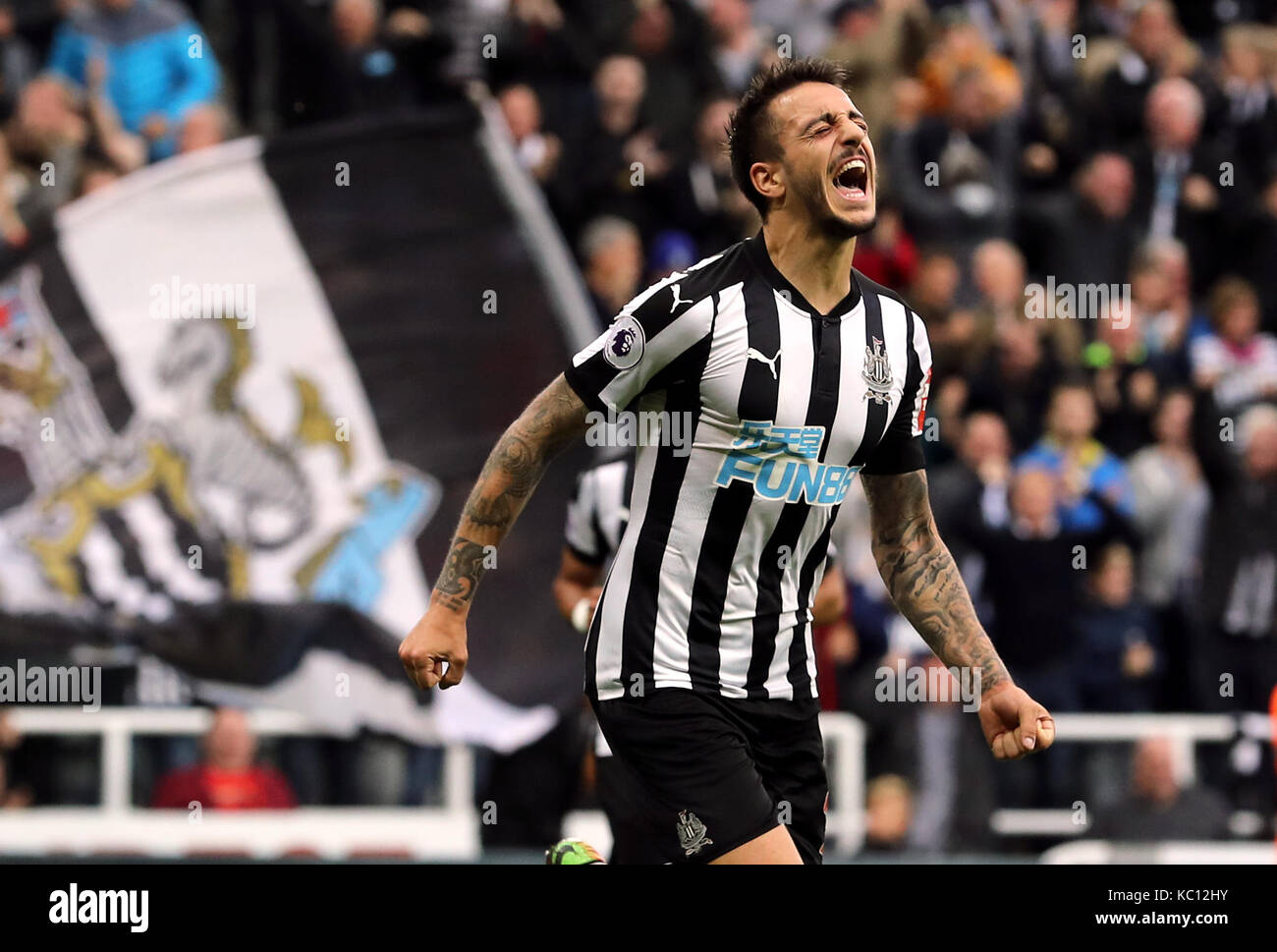 Newcastle United's Joselu celebrates scoring his side's first goal of ...
