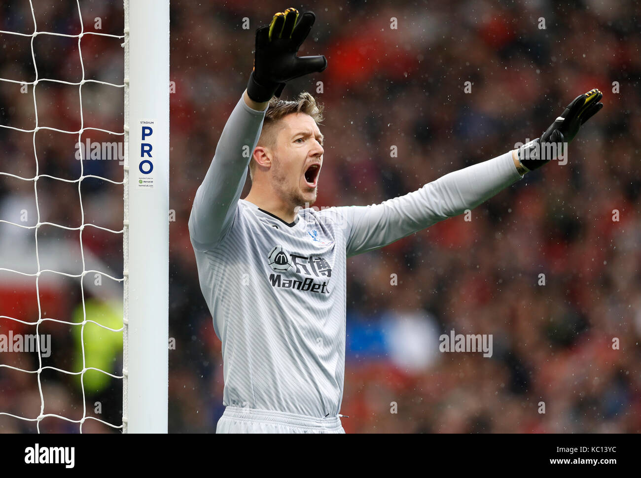 Crystal Palace goalkeeper Wayne Hennessey Stock Photo - Alamy