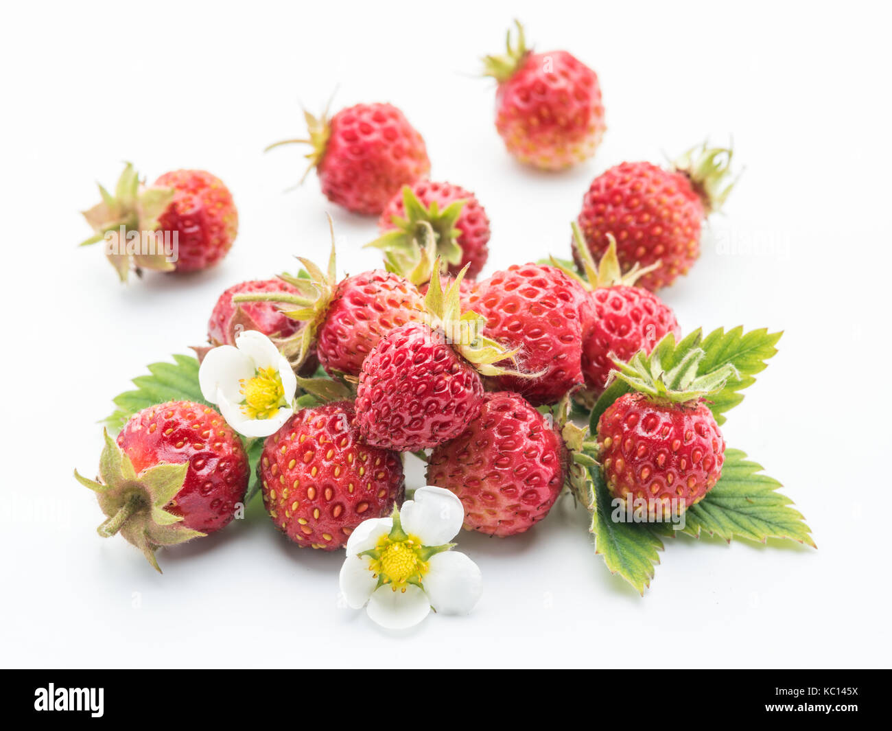 Wild strawberries hi-res stock photography and images - Alamy