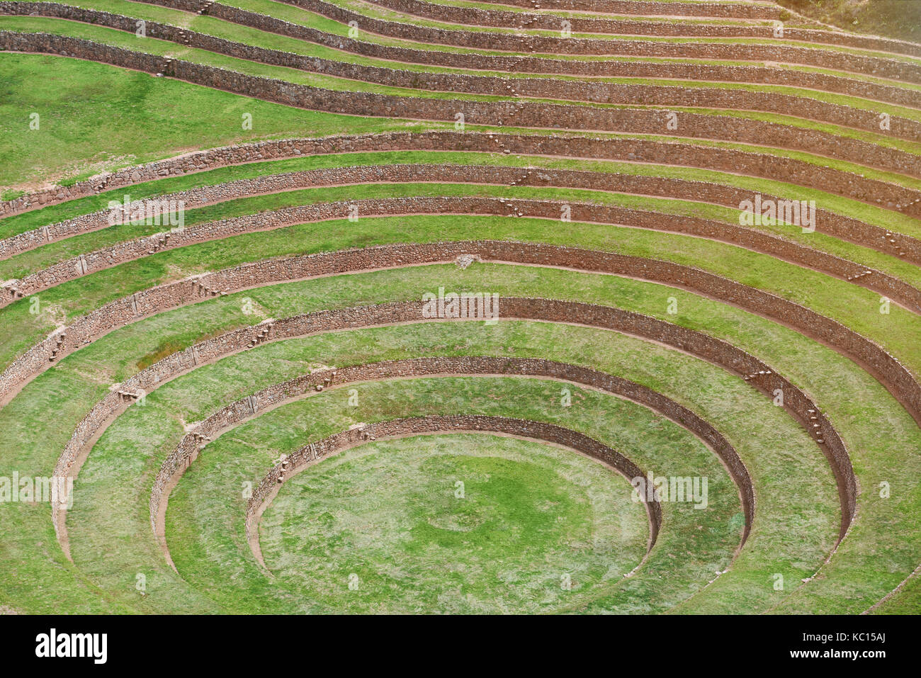 Inca Agriculture