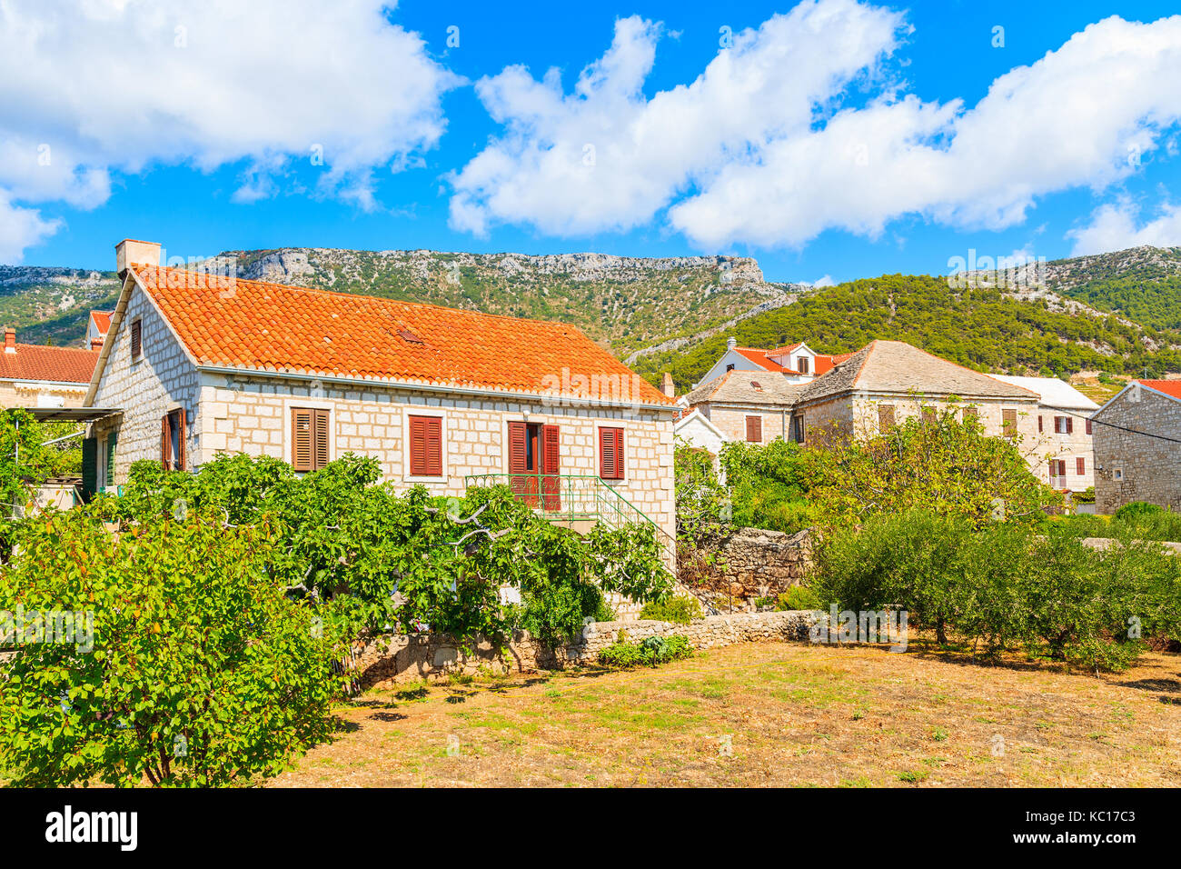 Stone houses and olive trees in Bol town with mountains in background ...