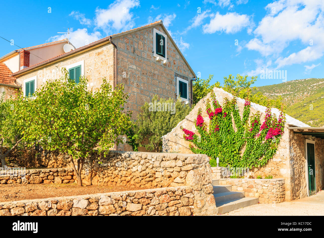 Traditional stone house decorated with flowers and grapevines in Bol ...