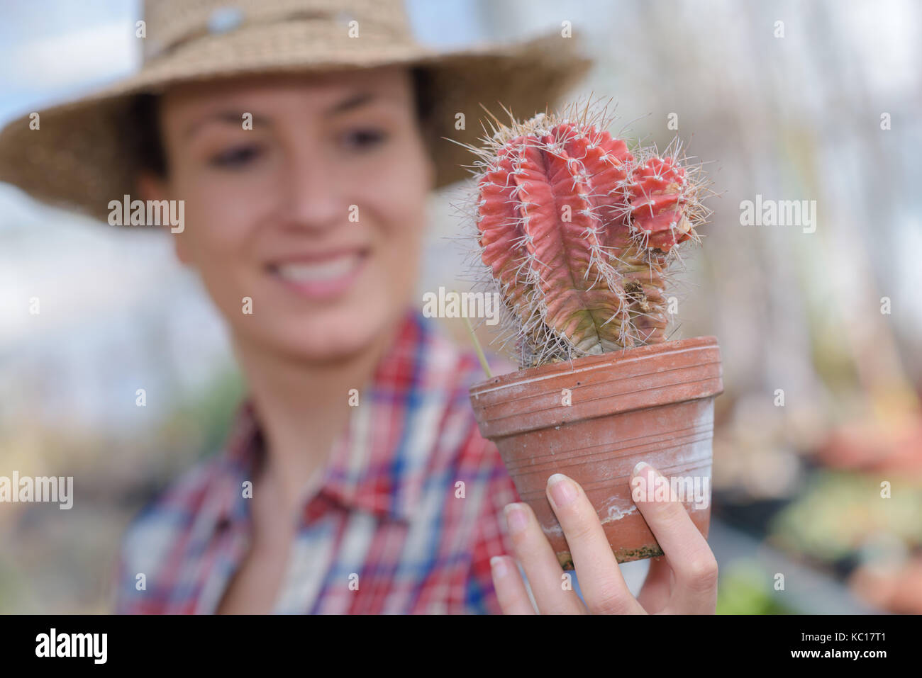 woman gardening cactus Stock Photo - Alamy