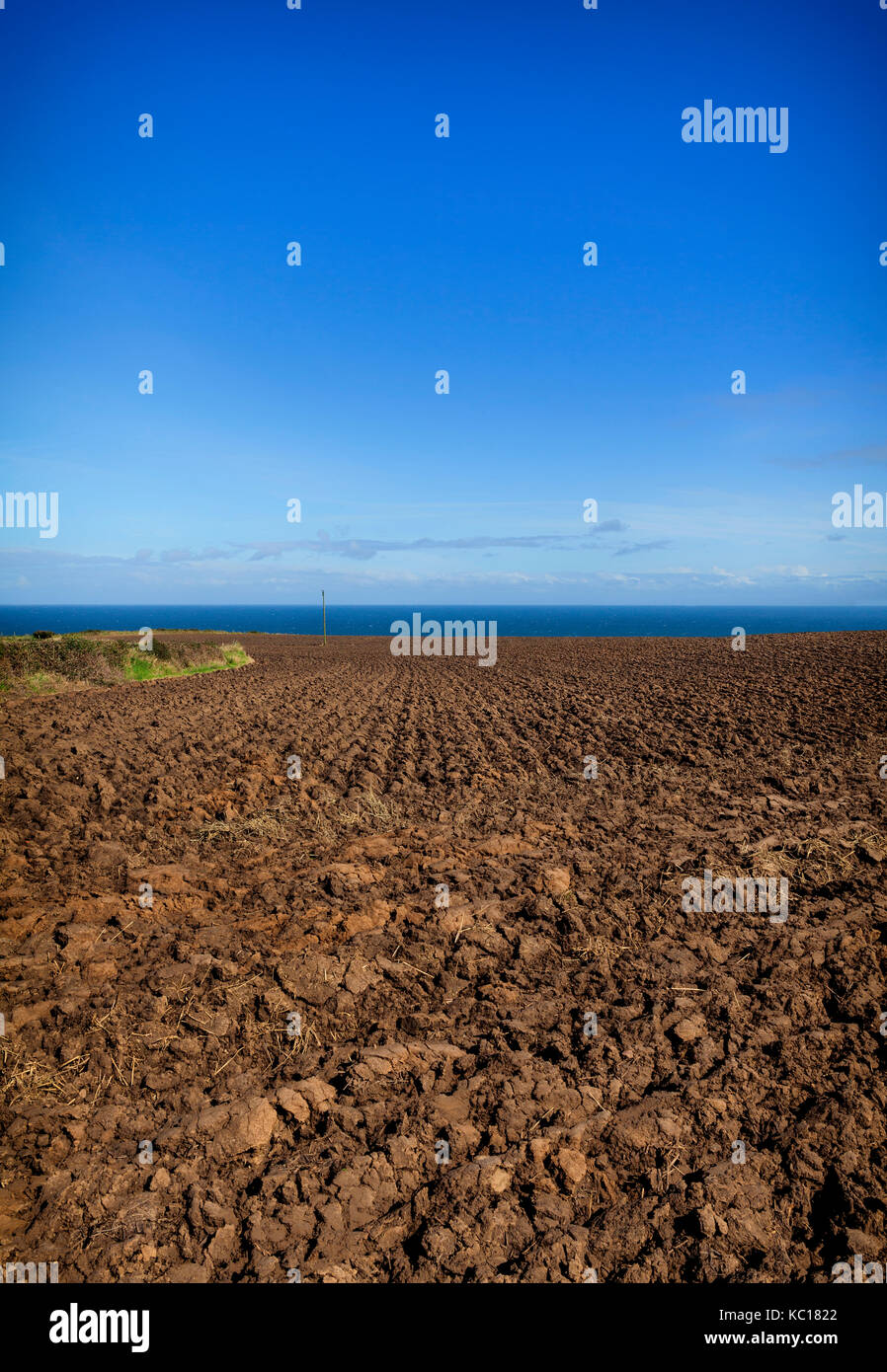 Blue tilled hi-res stock photography and images - Alamy