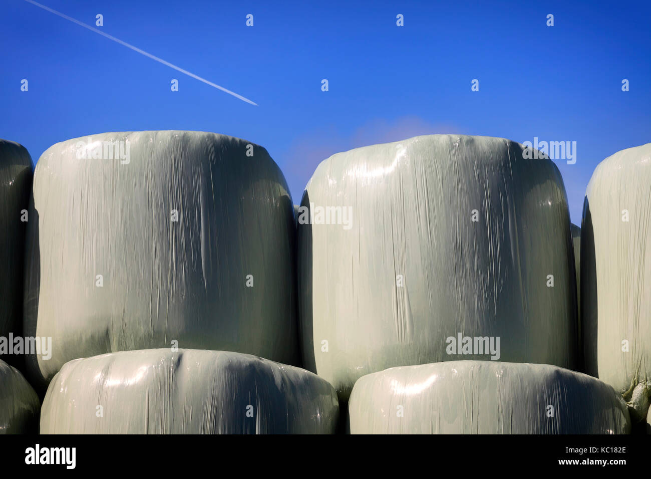 Plastic wrapping hi-res stock photography and images - Alamy