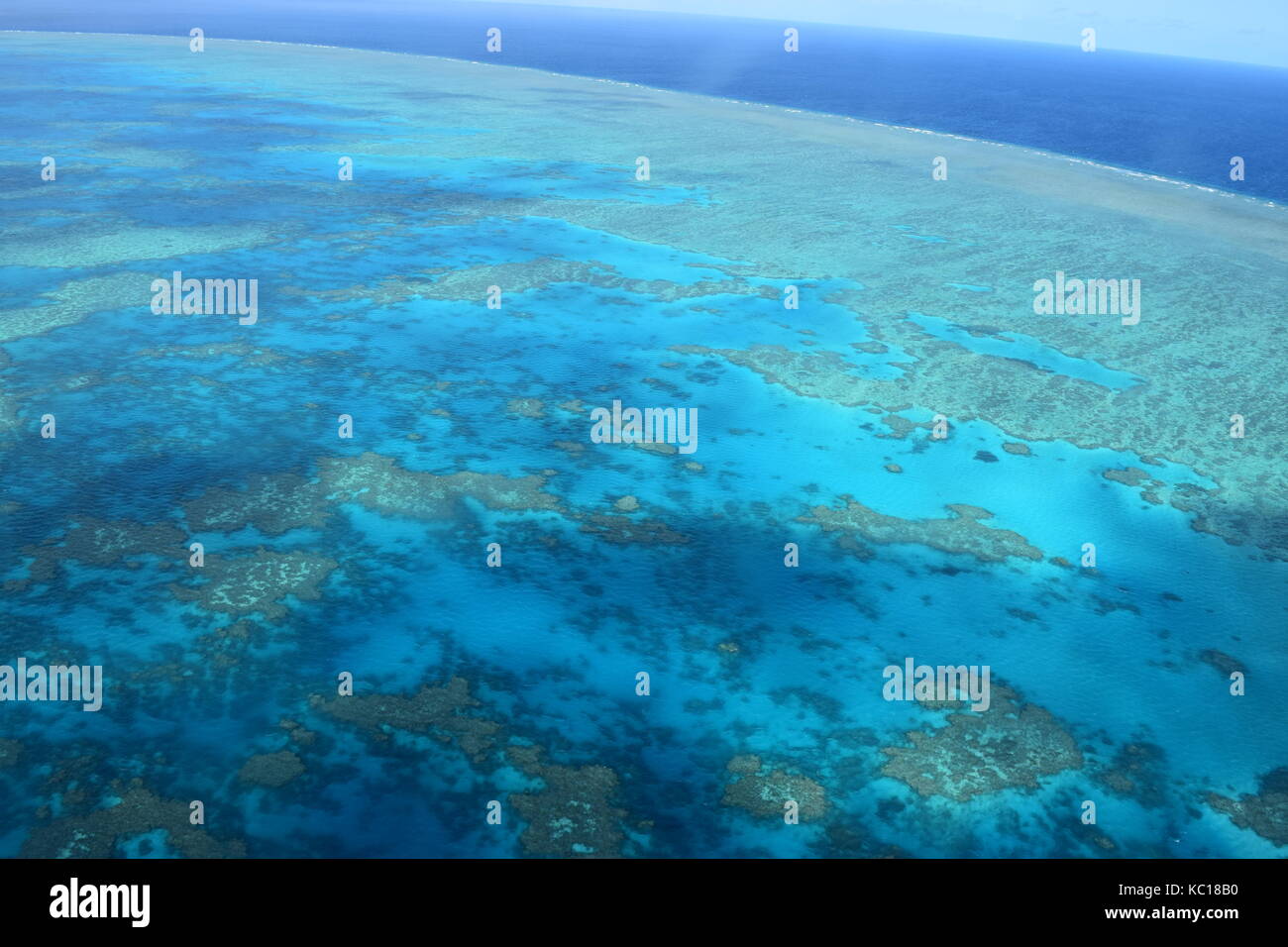 Great Barrier Reef Stock Photo - Alamy