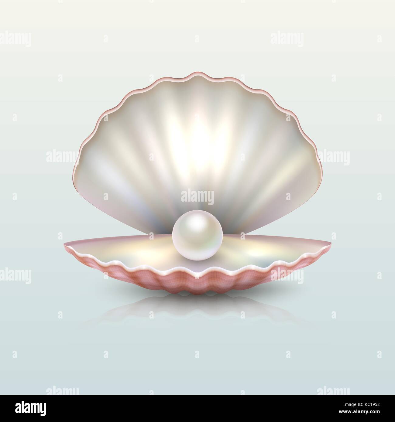 Realistic vector beautiful natural open sea pearl shell closeup with ...