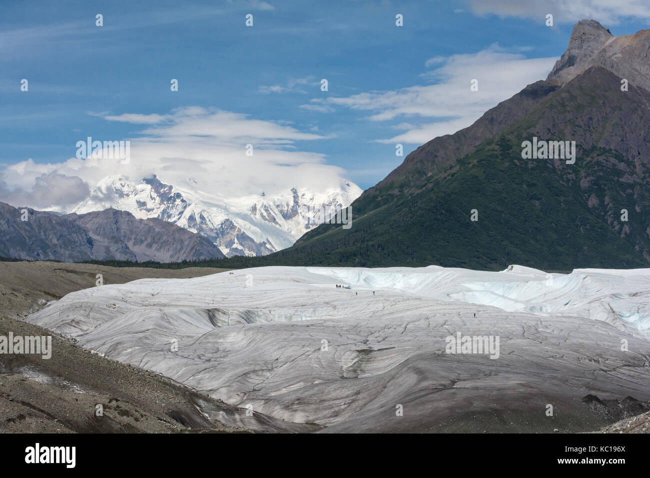 The scale of Root Glacier is shown by the groups hiking across the vast ...