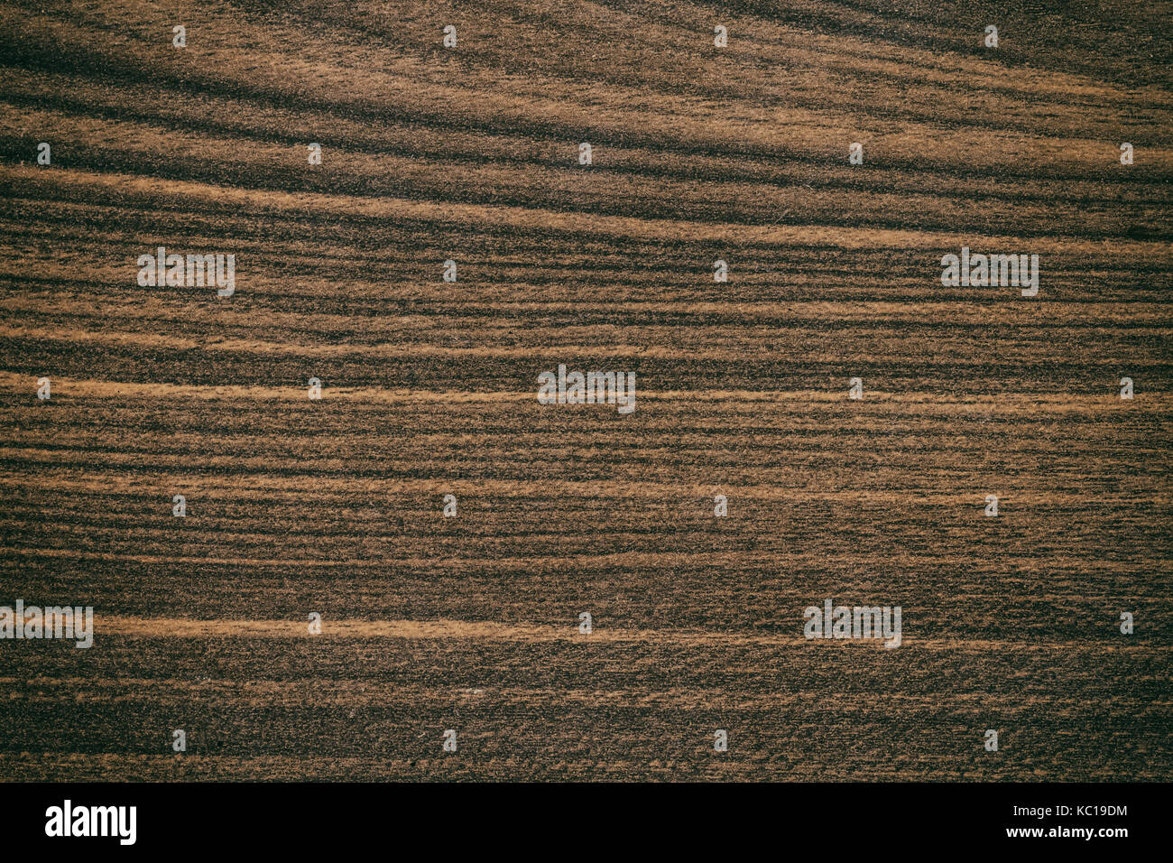 Vintage surface wood table and rustic grain texture background. Close ...