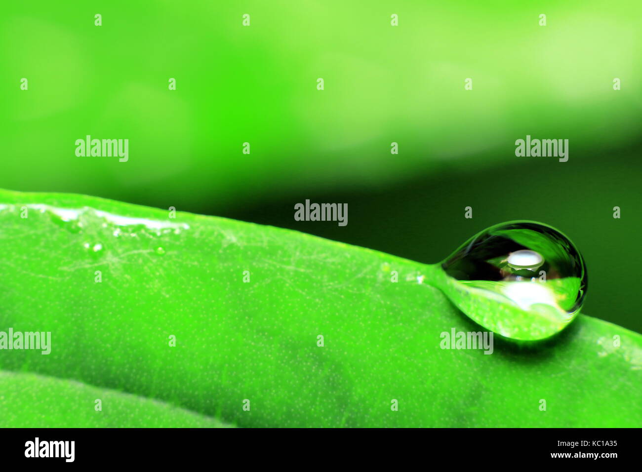 Good_morning hi-res stock photography and images - Alamy