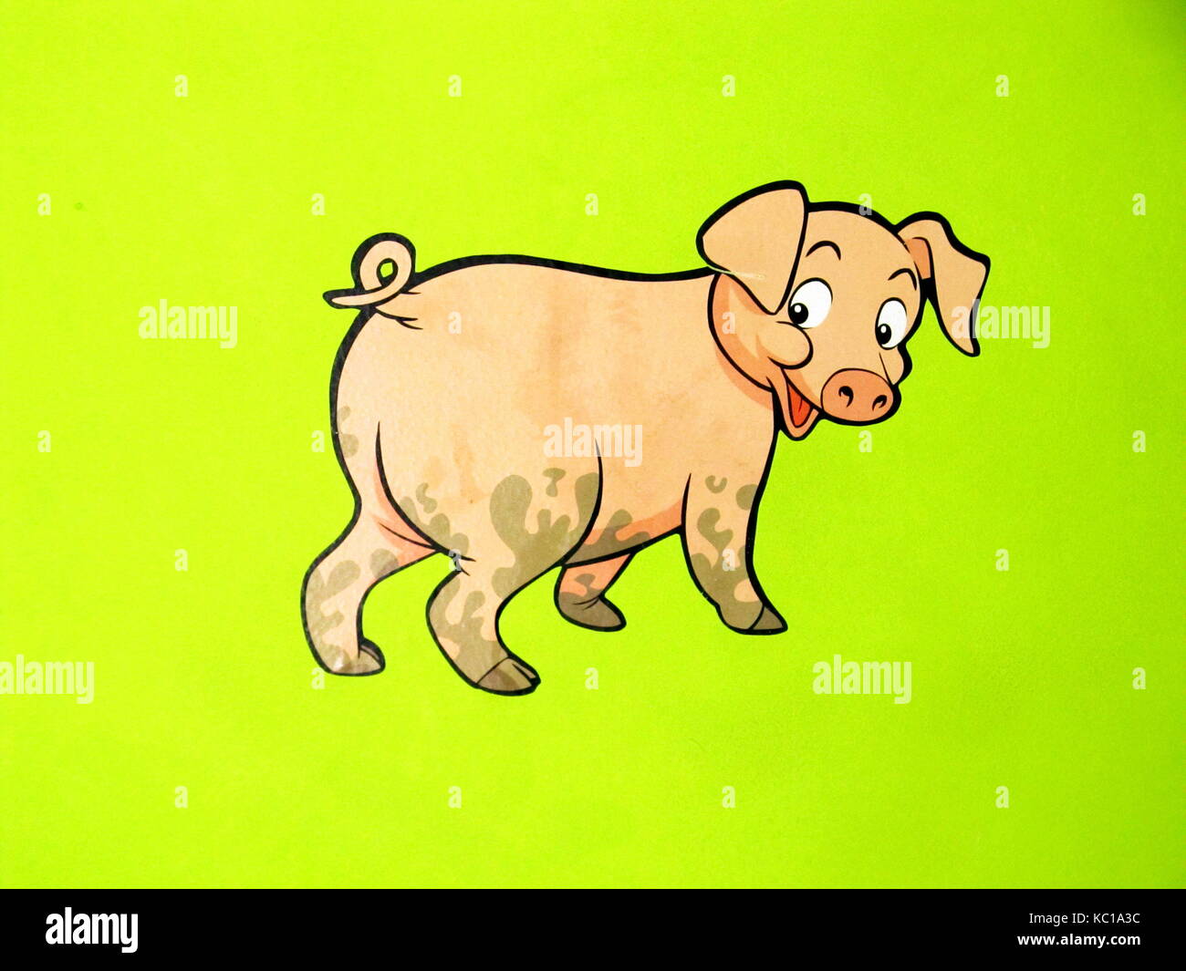 Curly pig tail hi-res stock photography and images - Alamy