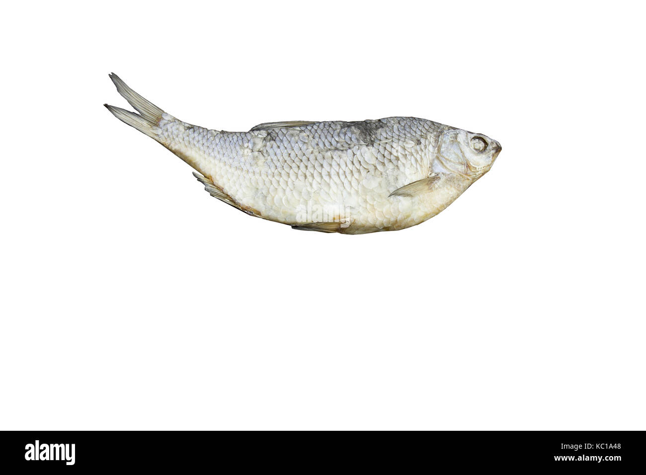 dried fish Isolated on white background Stock Photo - Alamy