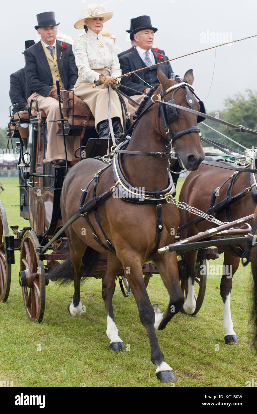 Victorian Horse Drawn Omnibus High Resolution Stock Photography and ...