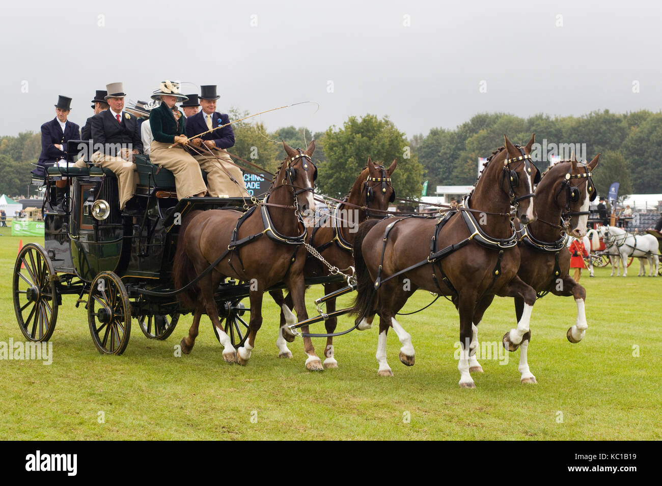 horses drawing a Victorian 8 seater Omnibus Carriage Stock Photo - Alamy