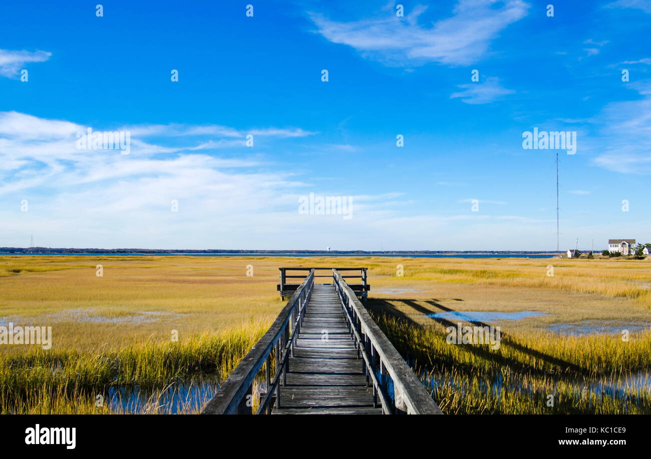 Wooden dock in swamp scenic area with blue sky Stock Photo - Alamy