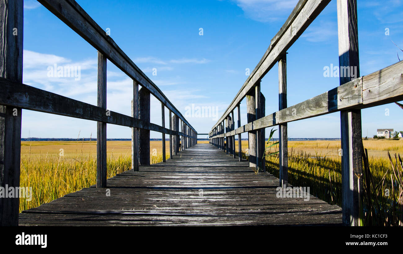 Wooden dock in swamp scenic area with blue sky Stock Photo - Alamy