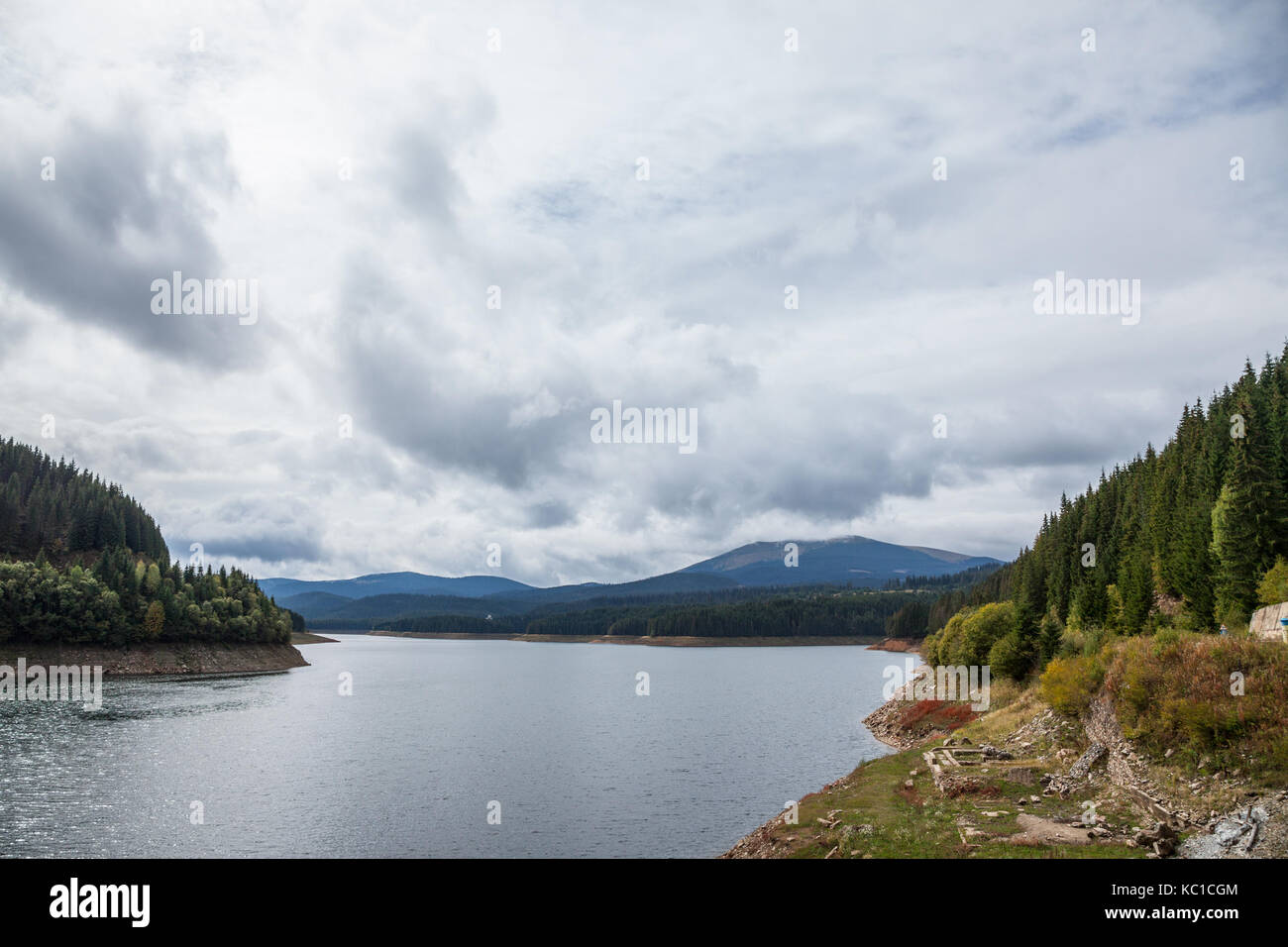 Fir and other pine trees on mountains near Oasa Lake (Lacul Oasa) on a ...