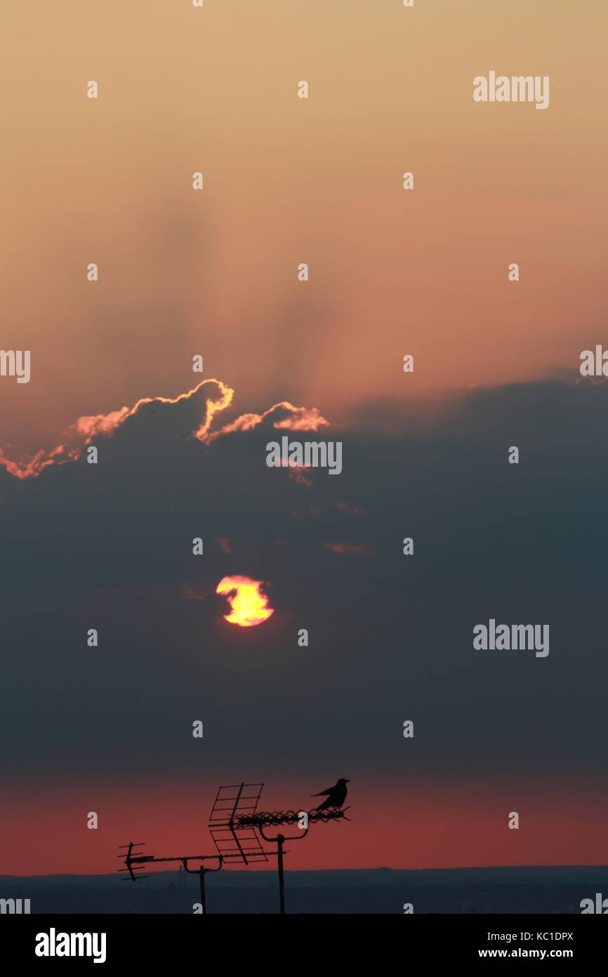 Beautiful sunset through the clouds Stock Photo - Alamy