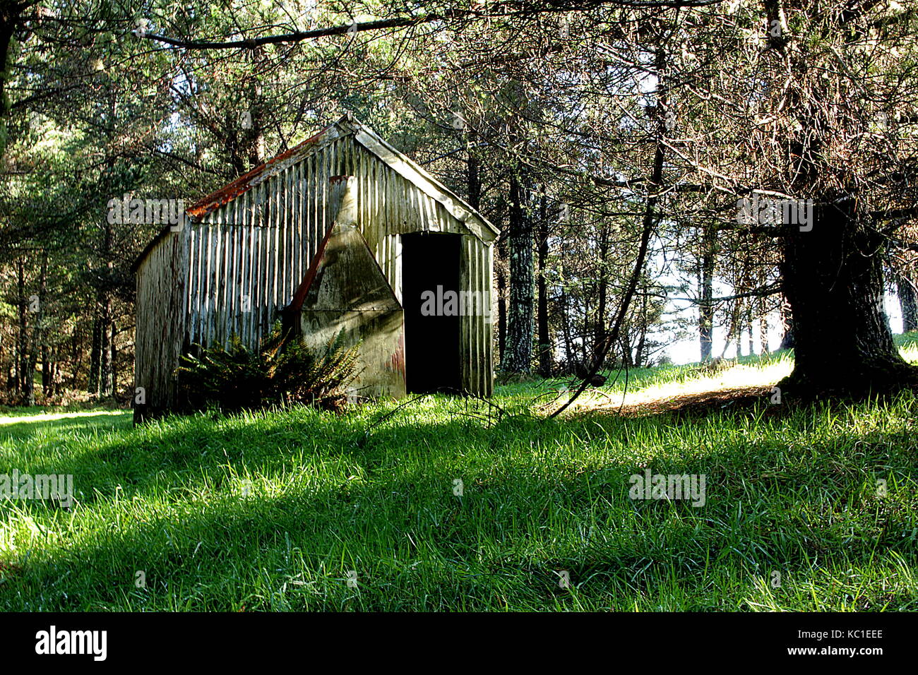 Landscape, hut in woods Stock Photo - Alamy