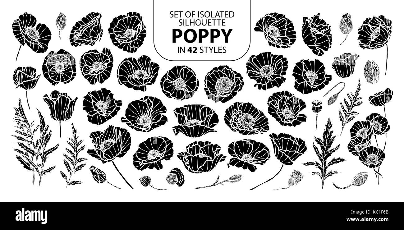 Poppy silhouette Black and White Stock Photos & Images - Alamy