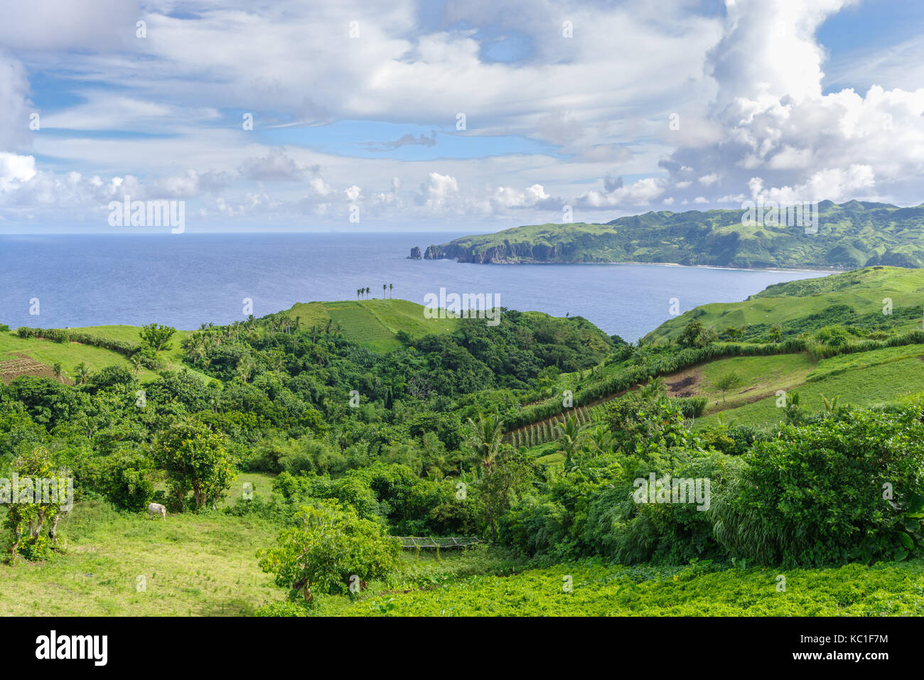 Beautiful view from Naidi Hills , Ivatan Island, Batanes , Philippines ...