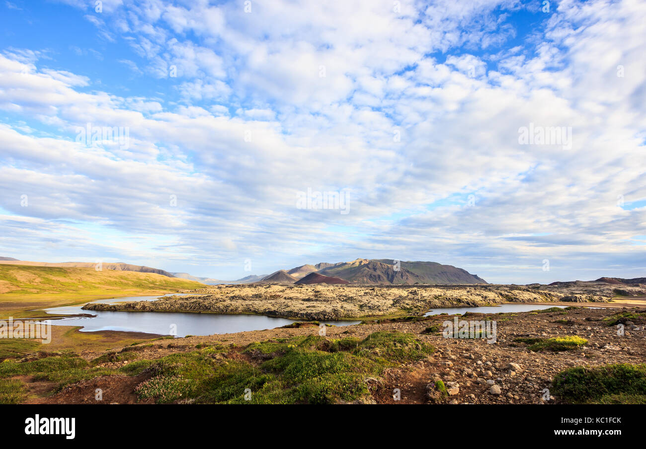 Beautiful summer icelandic landscape panoramic view with grassland ...