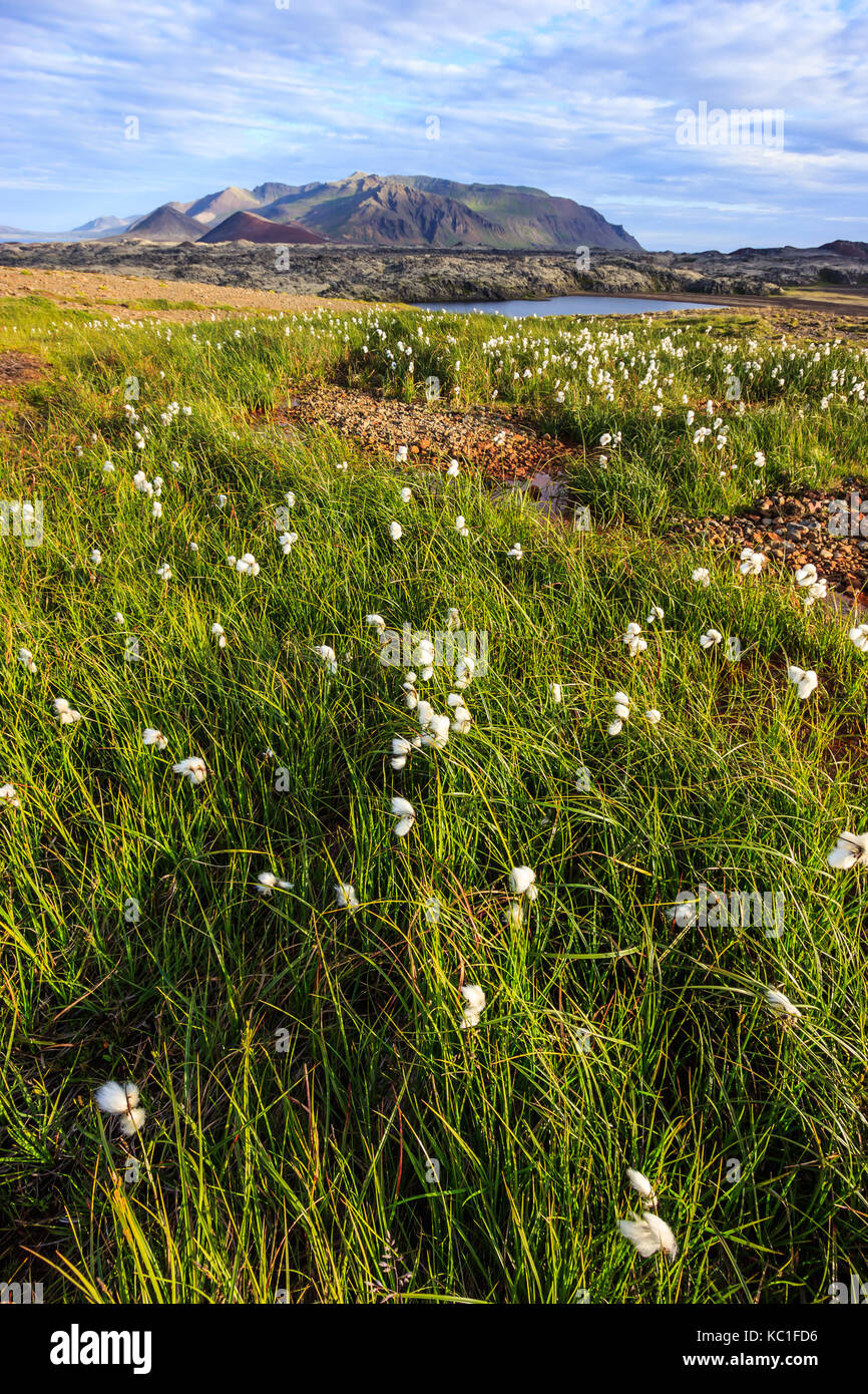 Vertical Beautiful summer icelandic landscape panoramic view with ...
