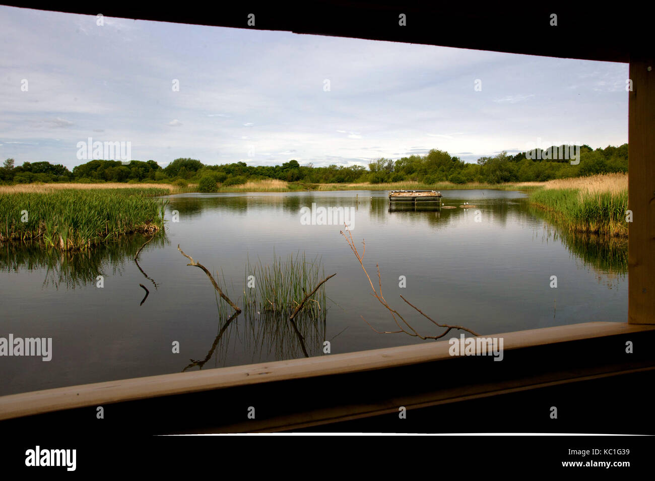 Bird watching hide, Gosforth Park Nature Reserve Stock Photo - Alamy