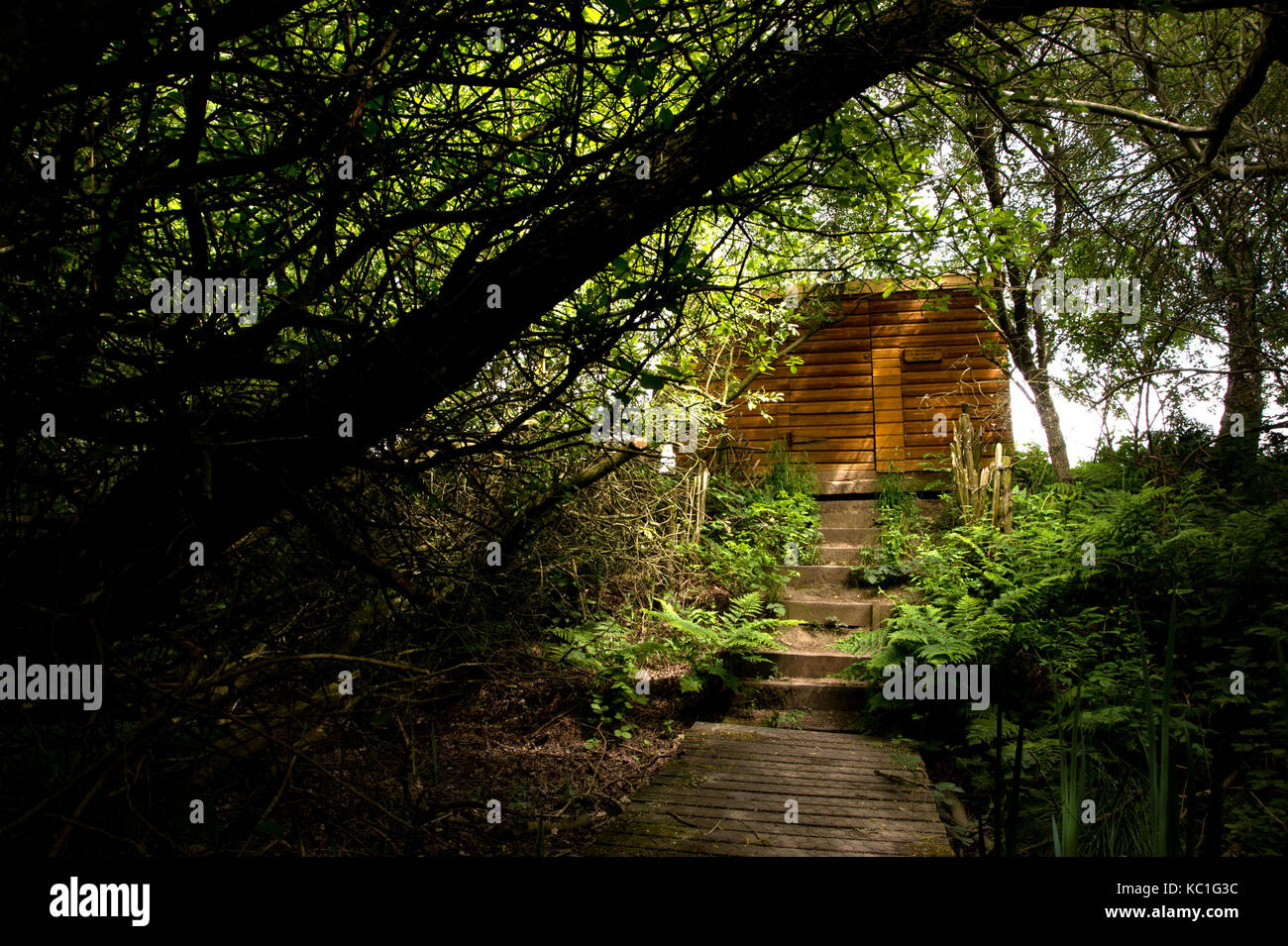 Bird watching hide, Gosforth Park Nature Reserve Stock Photo - Alamy