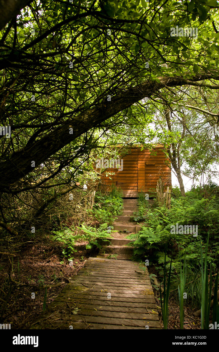 Bird watching hide, Gosforth Park Nature Reserve Stock Photo - Alamy