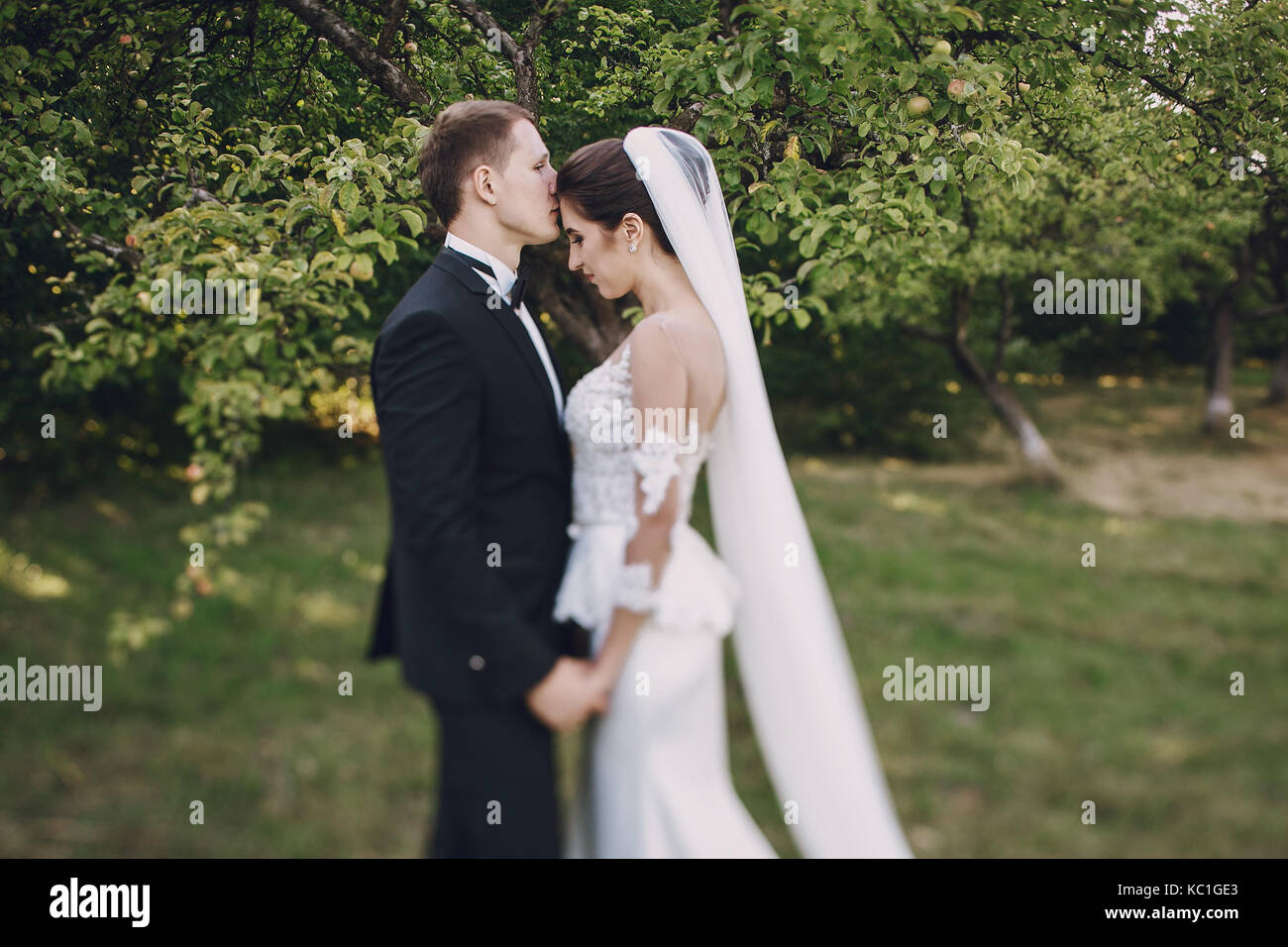 bride and groom Stock Photo - Alamy