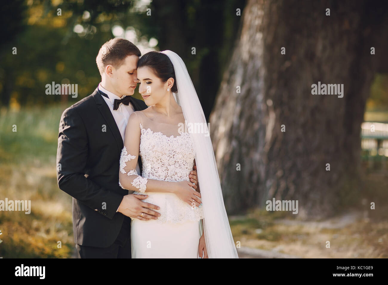 bride and groom Stock Photo - Alamy