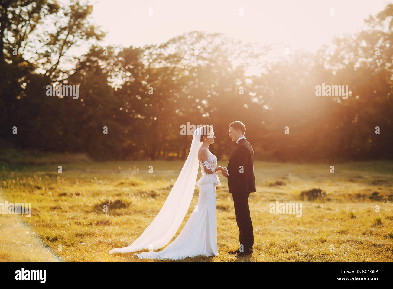 bride and groom Stock Photo - Alamy