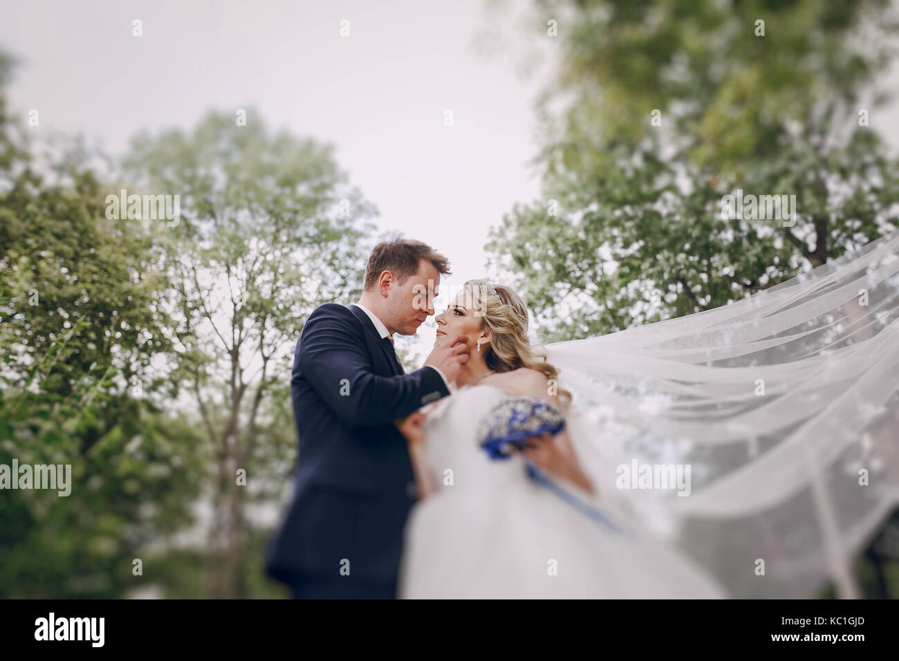 wedding couple hugs kisses Stock Photo - Alamy