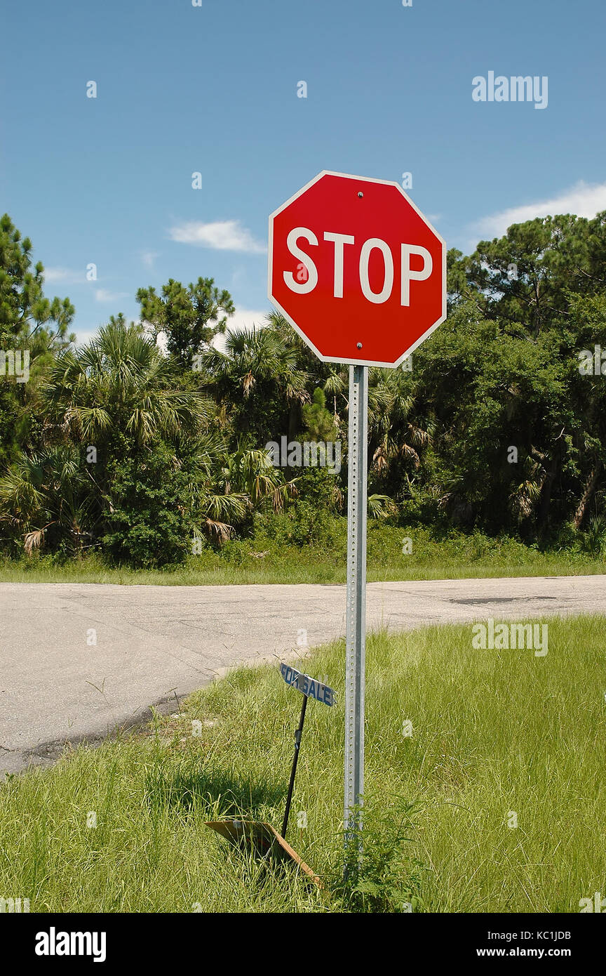 STOP sign by the roadside in Florida Stock Photo - Alamy