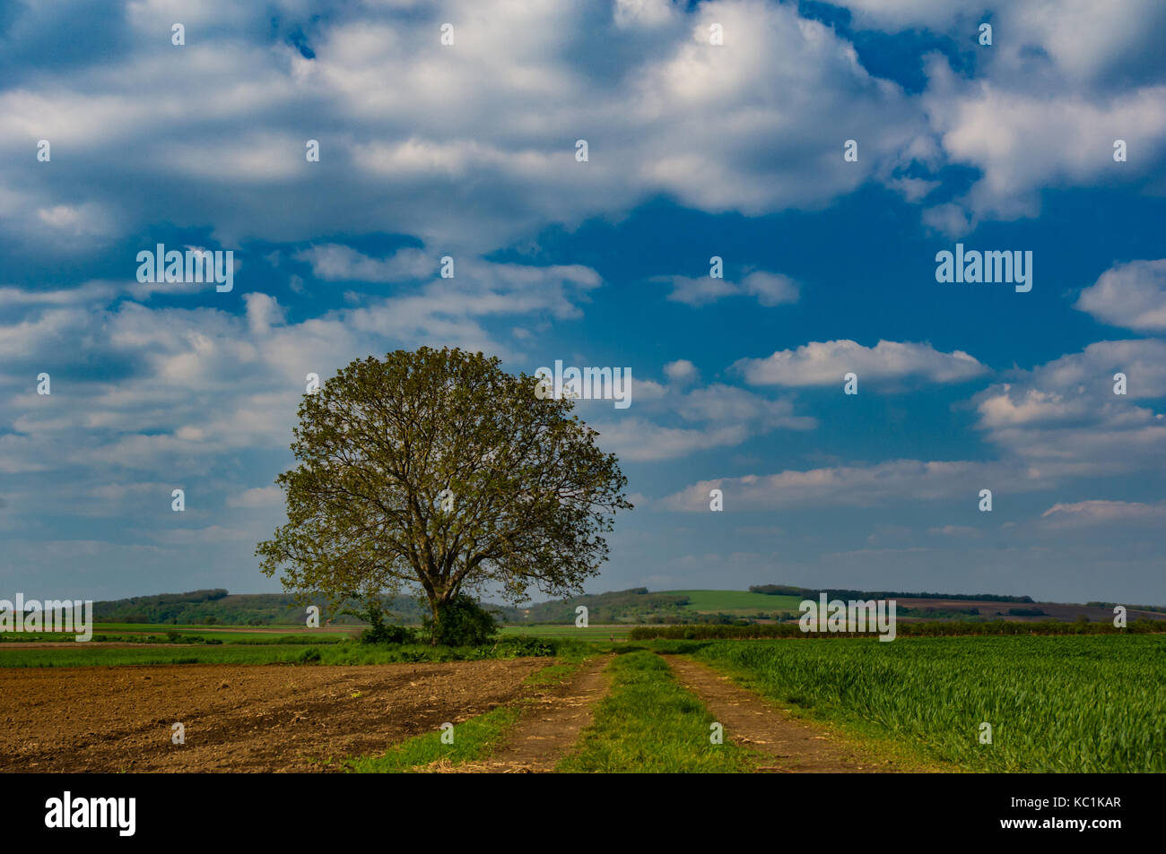 Baranja, Croatia landscape Stock Photo - Alamy